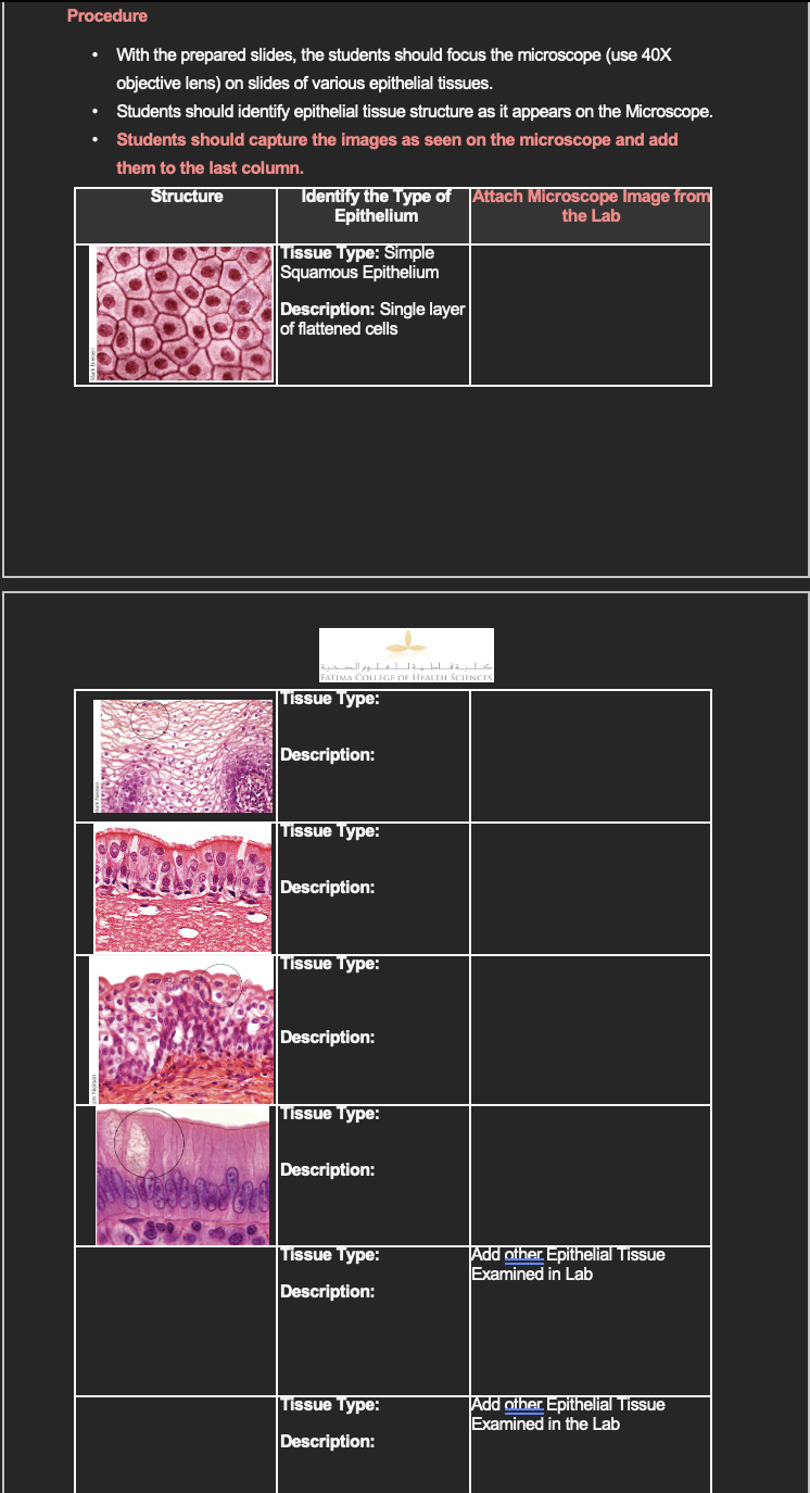 Procedure - With the prepared slides, the students | Chegg.com