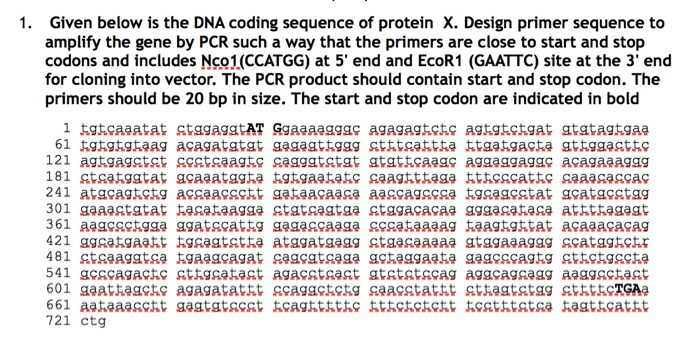 Solved 1. Given below is the DNA coding sequence of protein | Chegg.com