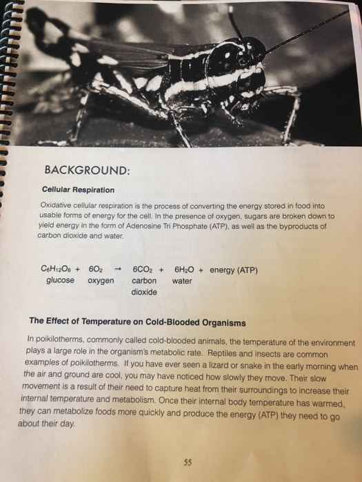 Solved b, you will examine the effects of temperature on | Chegg.com