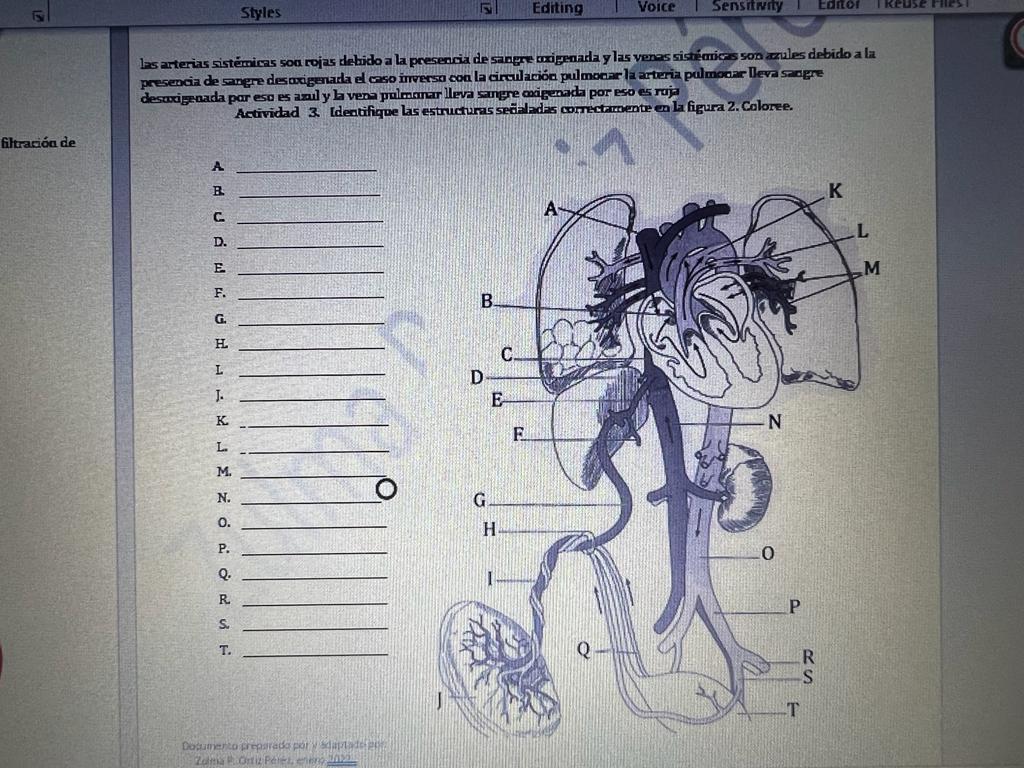 Solved The systemic arteries are red due to the presence of | Chegg.com