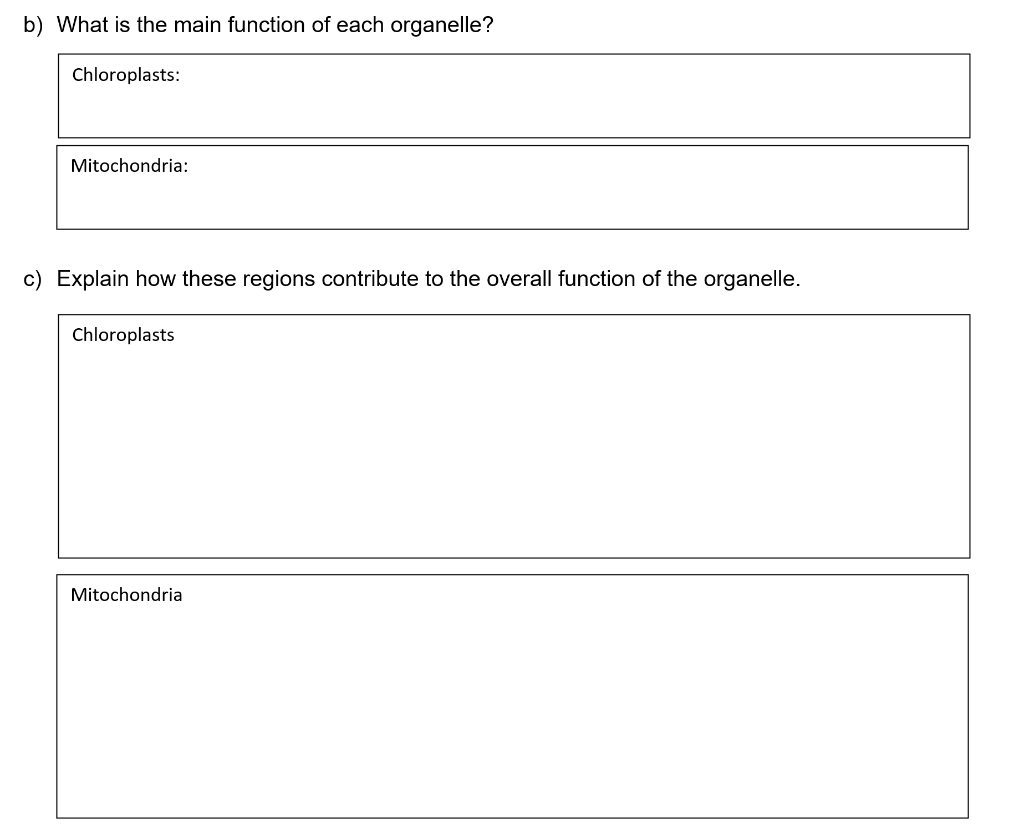 Solved Part 2: Relate Structure/Function Each organelle in | Chegg.com
