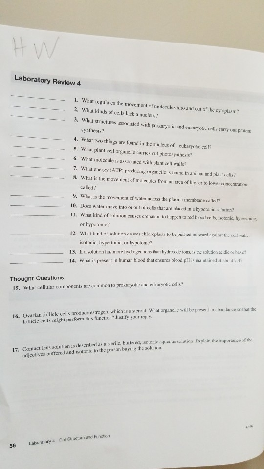Solved Laboratory Review 4 1. What regulates the movement of | Chegg.com