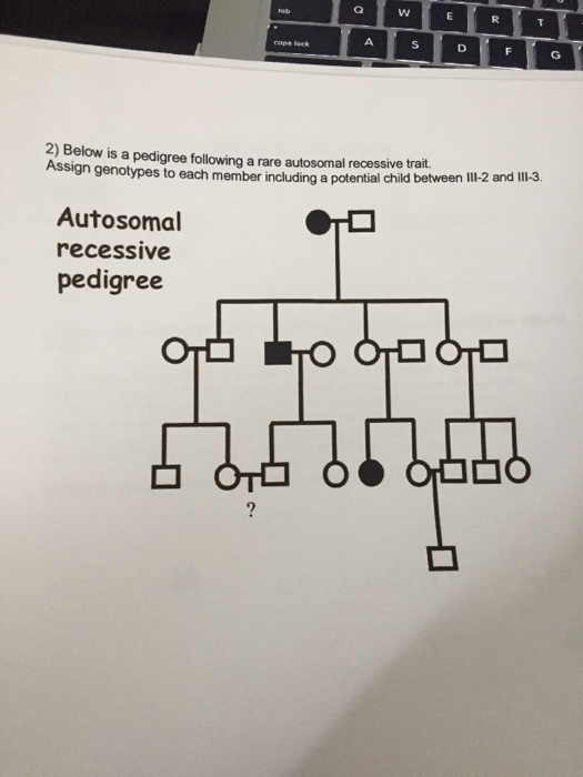 Solved 2) Below is a pedigree following a rare autosomal | Chegg.com