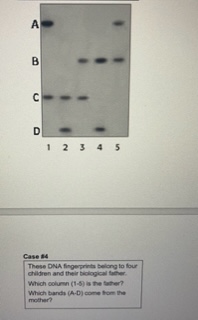 Solved Please help answer these questions. Simple answers | Chegg.com