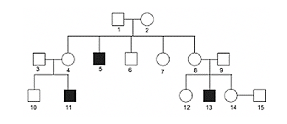 Solved If individuals #5 and #7 in the pedigree above were | Chegg.com