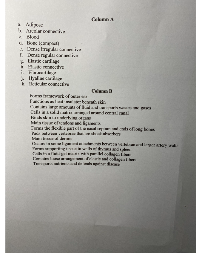Solved Column A a. Adipose b. Areolar connective c. Blood d. | Chegg.com
