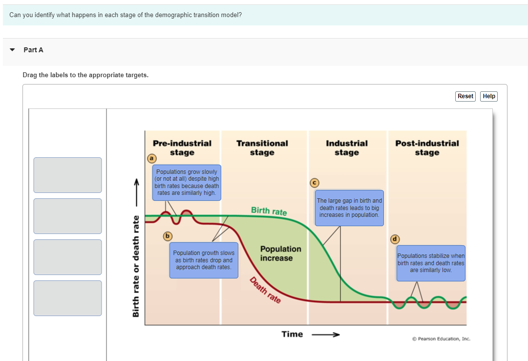 Solved Can you identify what happens in each stage of the | Chegg.com