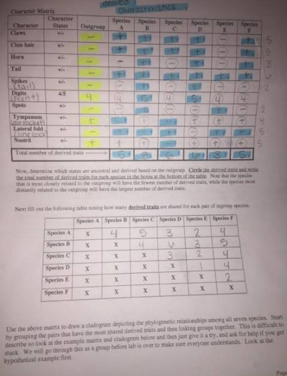 Solved Charac SHEE Duracter Matrix Character Character | Chegg.com