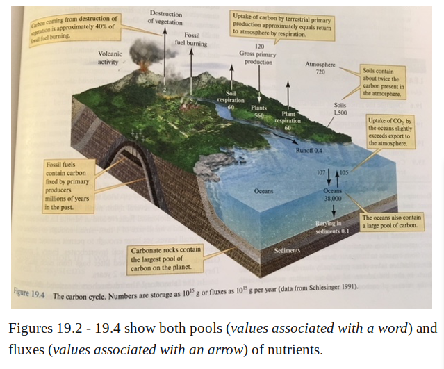 Complete Tables 1 and 2 using the information in | Chegg.com