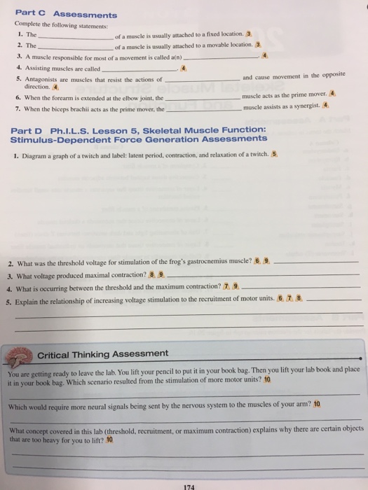 Solved Part C Assessments Complete the following statements: | Chegg.com