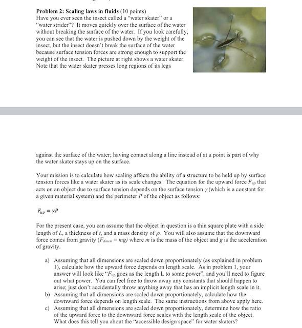 Solved Problem 2: Scaling laws in fluids (10 points) Have | Chegg.com