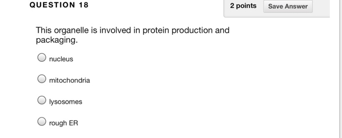 Solved Hi, please can you answer all my questions, I don’t | Chegg.com