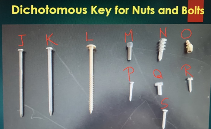 Solved Dichotomous Key for Nuts and Bolts | Chegg.com