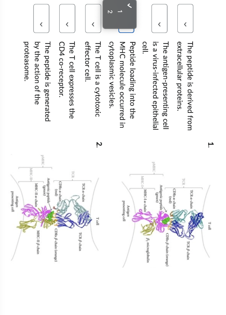Solved Match each description with the corresponding option. | Chegg.com