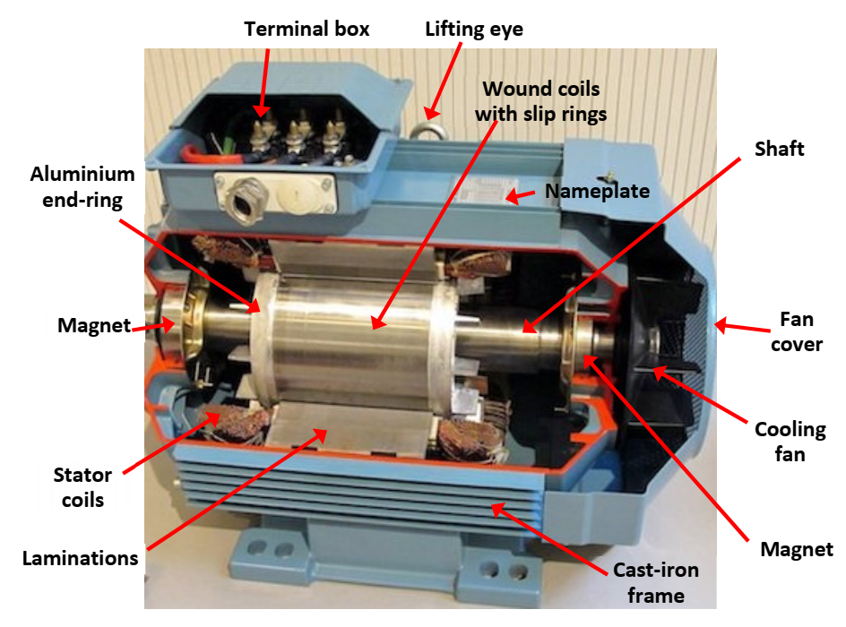 Solved A typical 3-phase Induction Machine is shown below. | Chegg.com