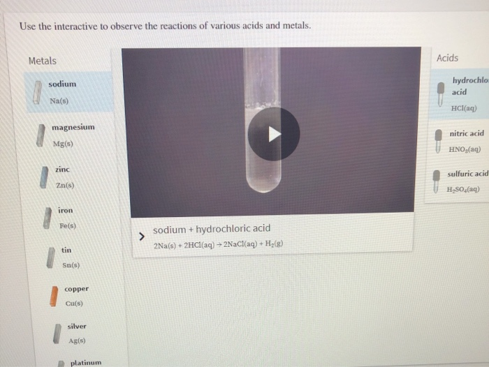 Solved Use the interactive to observe the reactions of | Chegg.com