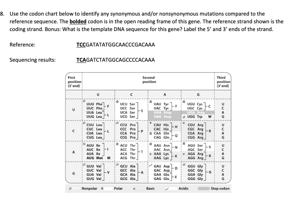Solved Use The Codon Chart Below To Identify Any Synonymous