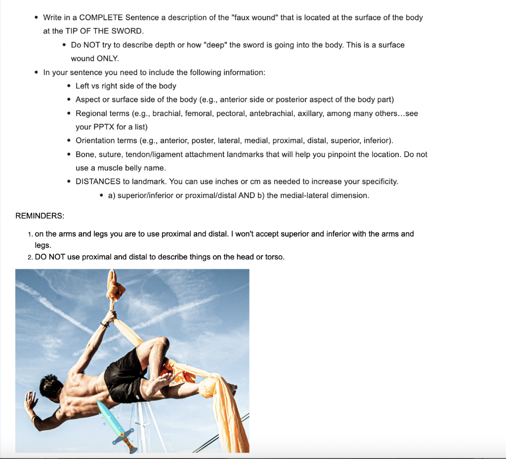 Solved - Write in a COMPLETE Sentence a description of the | Chegg.com