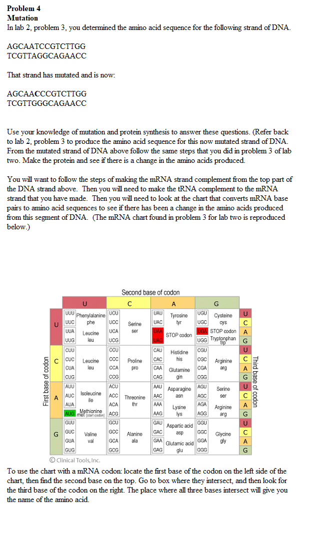 Problem 4 Mutation In lab 2, problem 3, you | Chegg.com