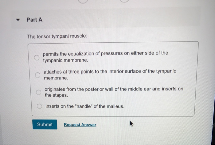 Solved Part A The tensor tympani muscle: permits the | Chegg.com