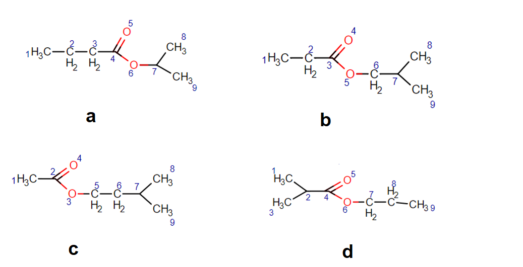 Solved The compound known as Compound E has a molecular | Chegg.com