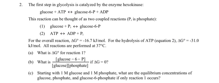 Solved 2. The first step in glycolysis is catalyzed by the | Chegg.com