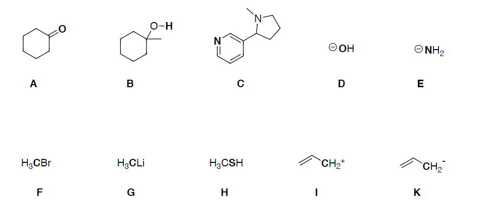 Solved Label each bolded atom in the molecules below as | Chegg.com
