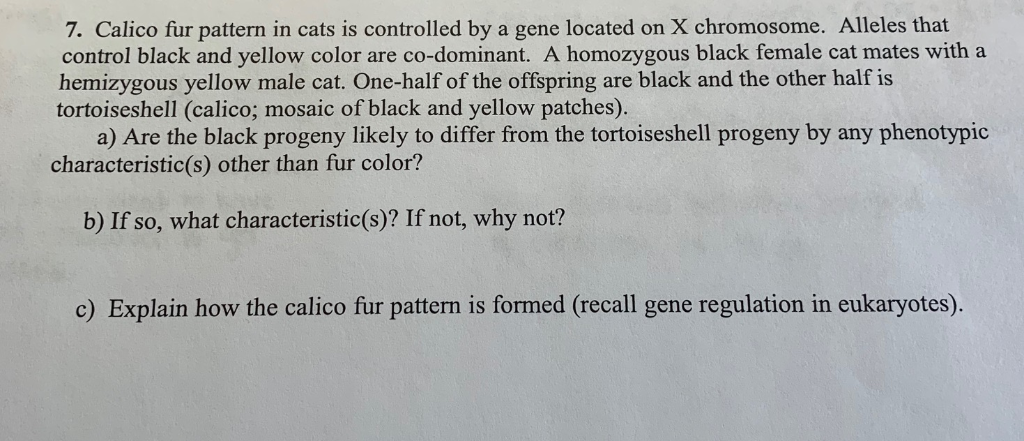 Solved 7. Calico fur pattern in cats is controlled by a gene | Chegg.com