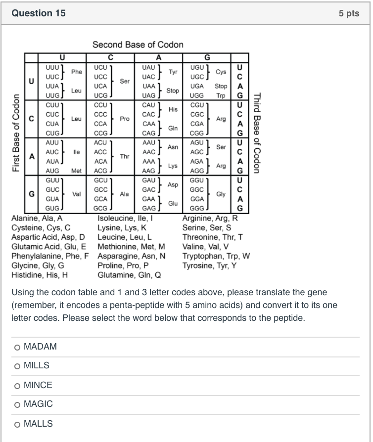Question 15 5 pts G Phe } } Leu Leu Arg First Base of | Chegg.com