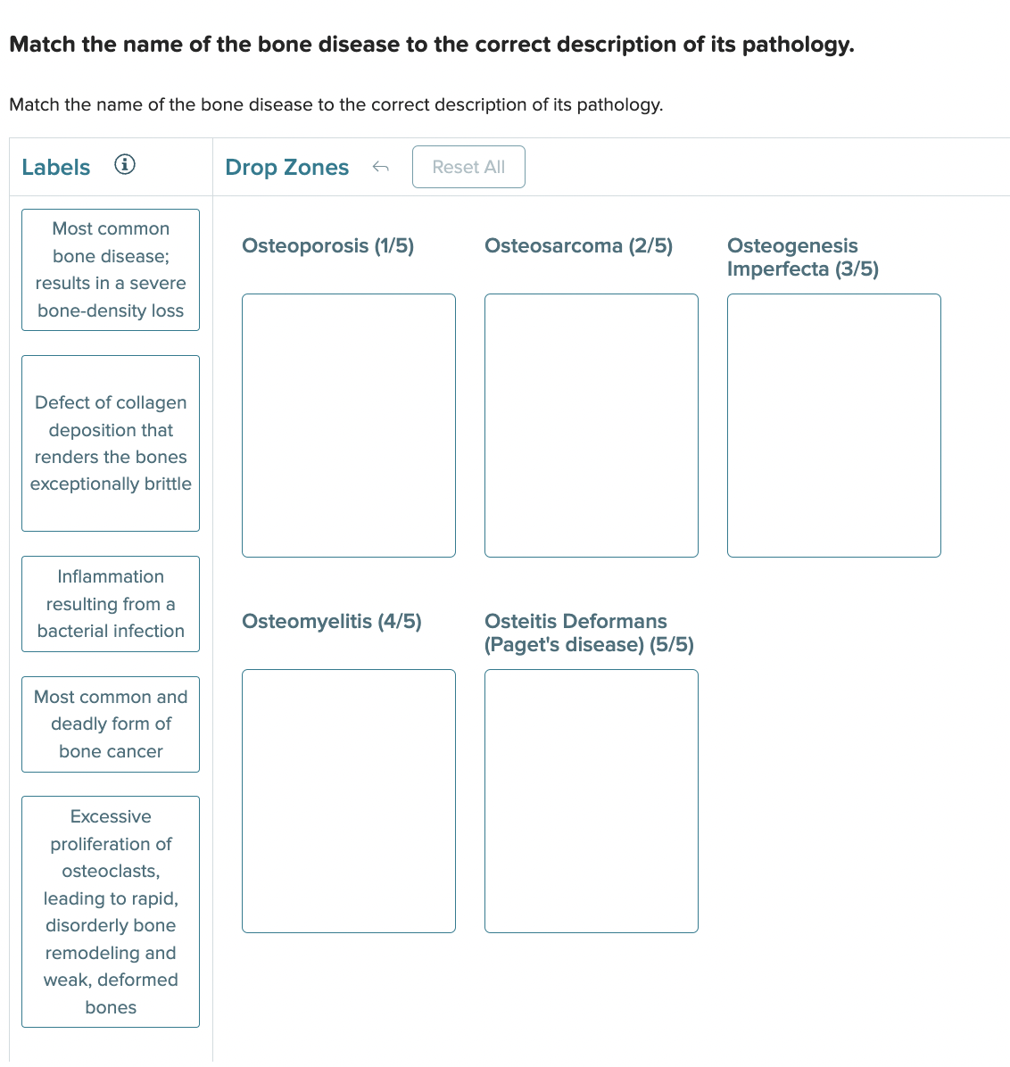Solved Match the name of the bone disease to the correct | Chegg.com