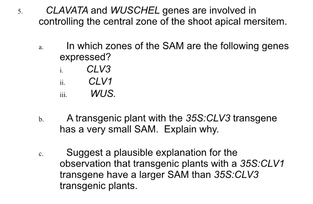 Solved Plant Biology- CLAVATA and WUSCHEL genes are involved | Chegg.com