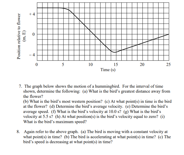 Solved 7. The graph below shows the motion of a hummingbird. | Chegg.com