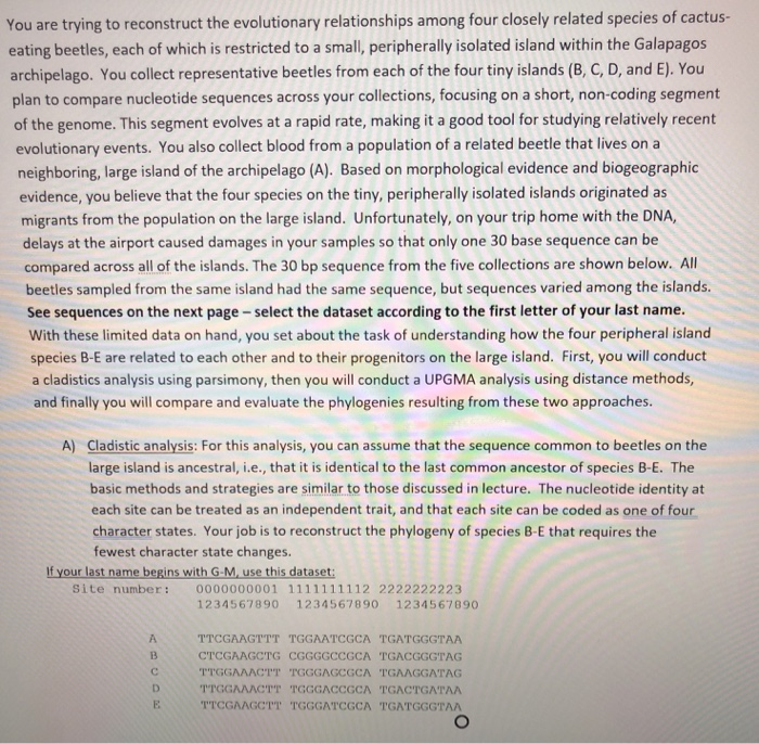 Solved You are trying to reconstruct the evolutionary | Chegg.com