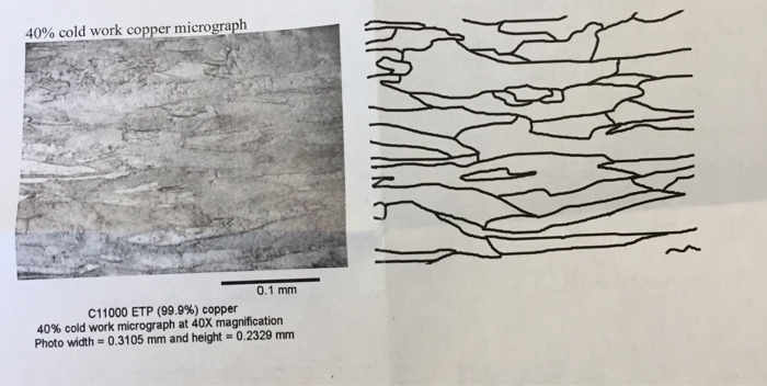 Solved 40% cold work copper micrograph 0.1 mm C11000 ETP | Chegg.com