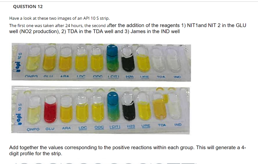 QUESTION 12 Have a look at these two images of an API | Chegg.com