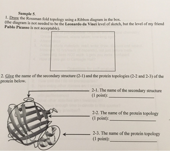 Solved Sample 5. 1. Draw the Rossman fold topology using a | Chegg.com