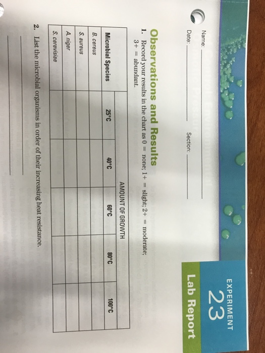 EXPERIMENT 23 Name Date Section: Lab Report | Chegg.com