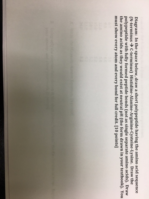 Solved Diagram: In the space below, draw a short polypeptide | Chegg.com