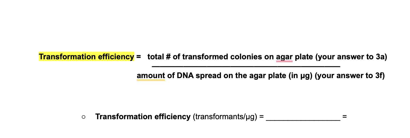 Solved 3 Lets Calculate Transformation Efficiency By