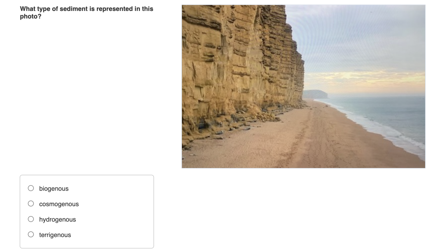 Solved What type of sediment is represented in this photo? | Chegg.com