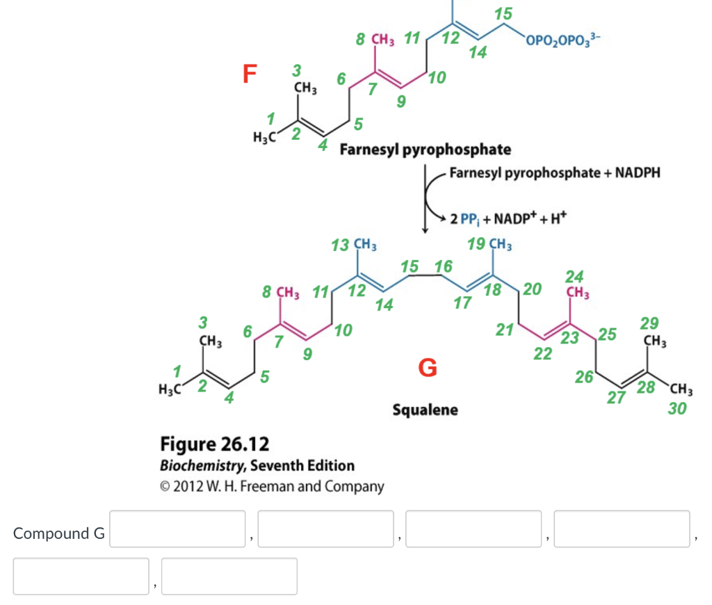 Solved Isopentenyl pyrophosphate is labeled in its methylene | Chegg.com