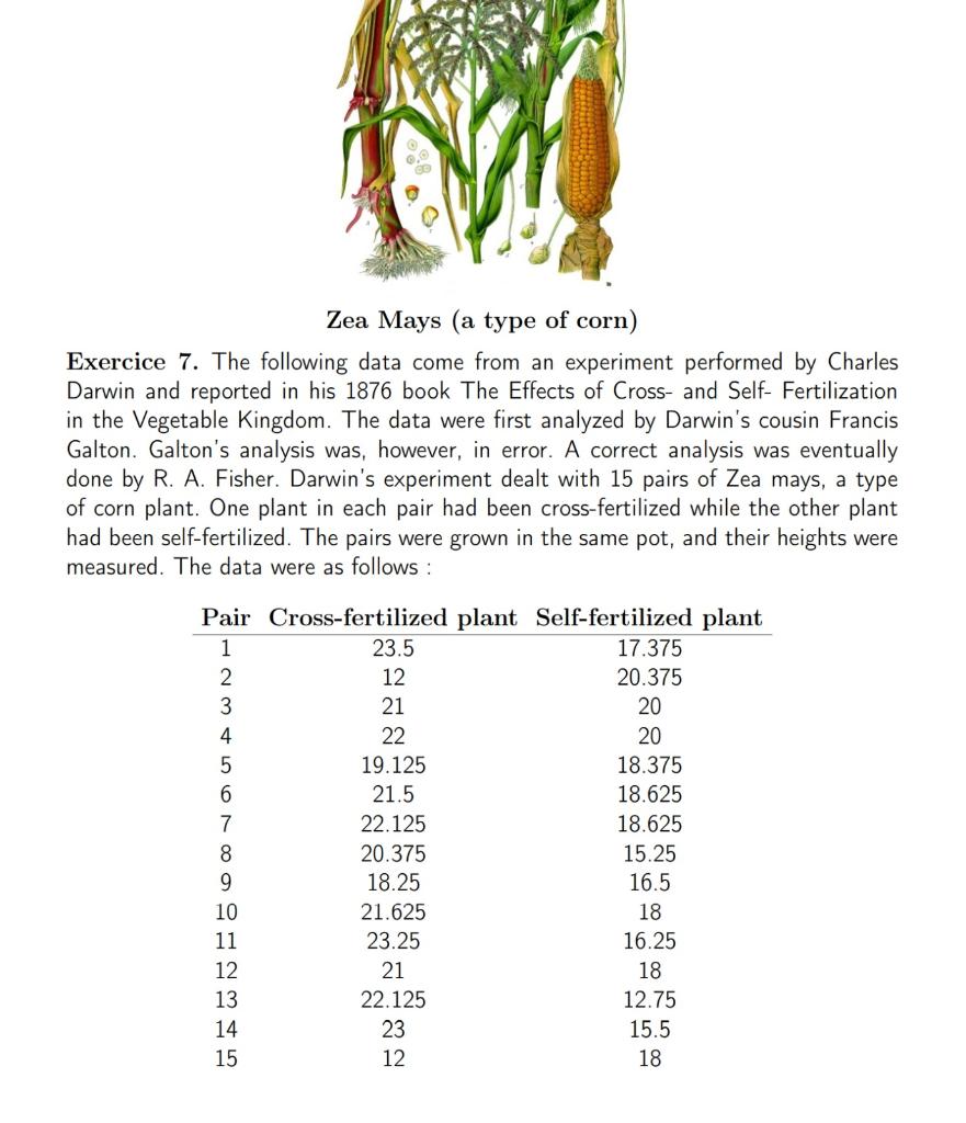 Solved Zea Mays (a type of corn) Exercice 7. The following | Chegg.com