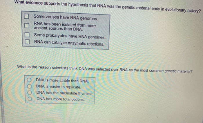 Solved What evidence supports the hypothesis that RNA was | Chegg.com