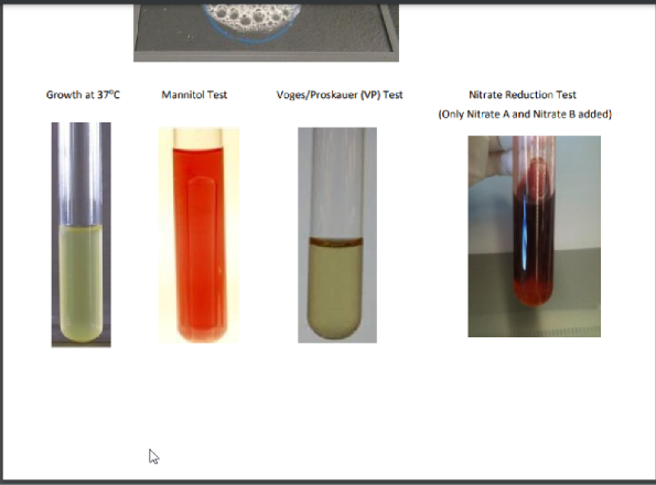 Solved Biochemical Unknown (50 points) Name: Unknown | Chegg.com