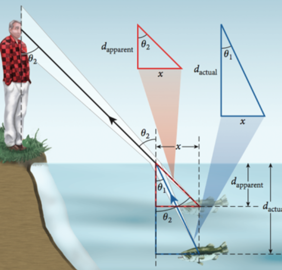Solved You are standing on the edge of a pond and looking at | Chegg.com