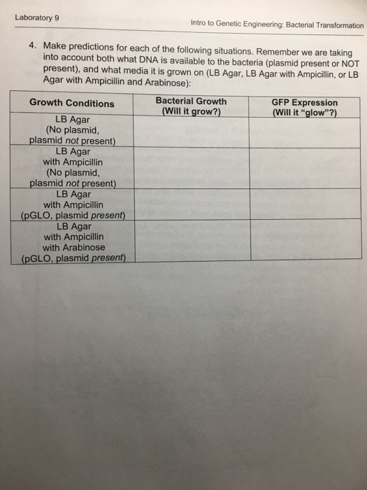 Solved Laboratory9 ntro to Genetic Engineering: Bacterial | Chegg.com