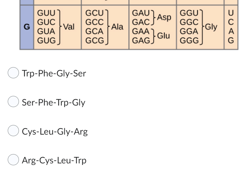 Solved The genetic code is composed of four different | Chegg.com