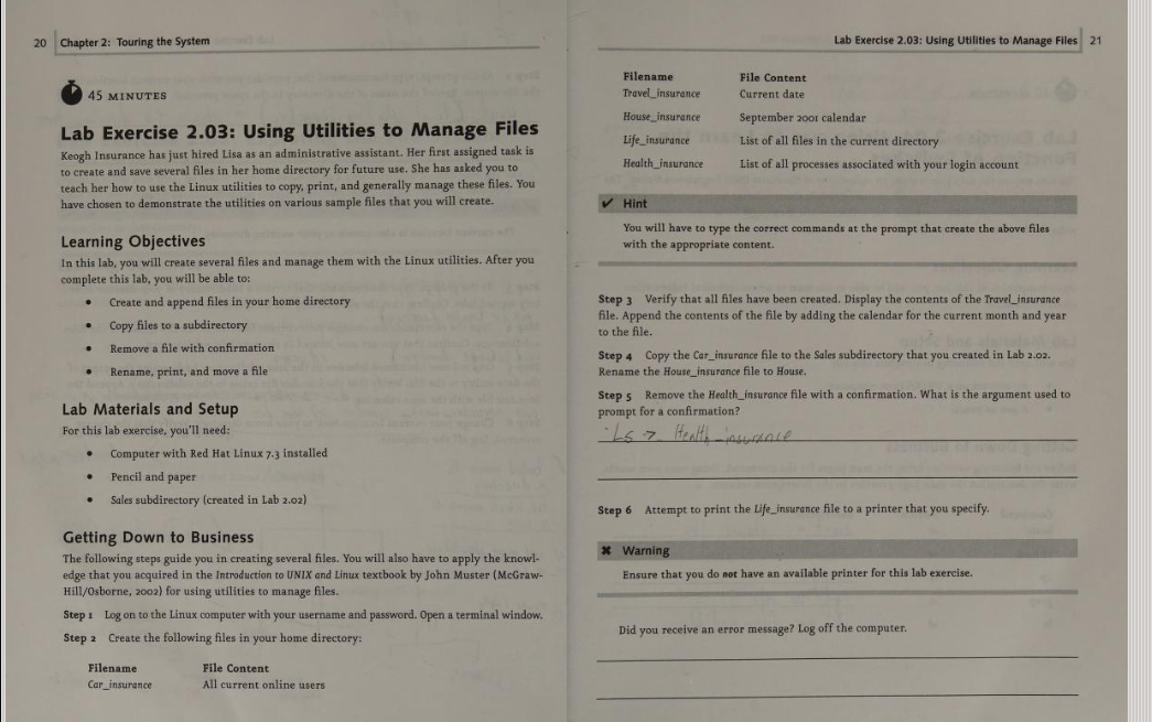 Solved Lab Exercise 2.03: Using Utilities to Manage Files | Chegg.com