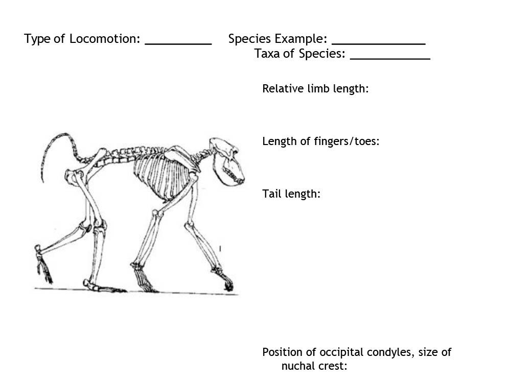 1. Identify a primate species that uses the form of | Chegg.com