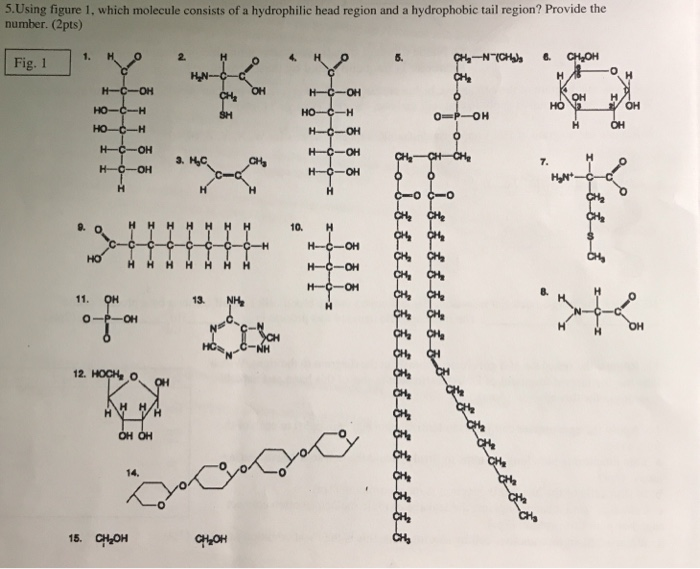 Solved 16.For each of the following statements, indicate | Chegg.com